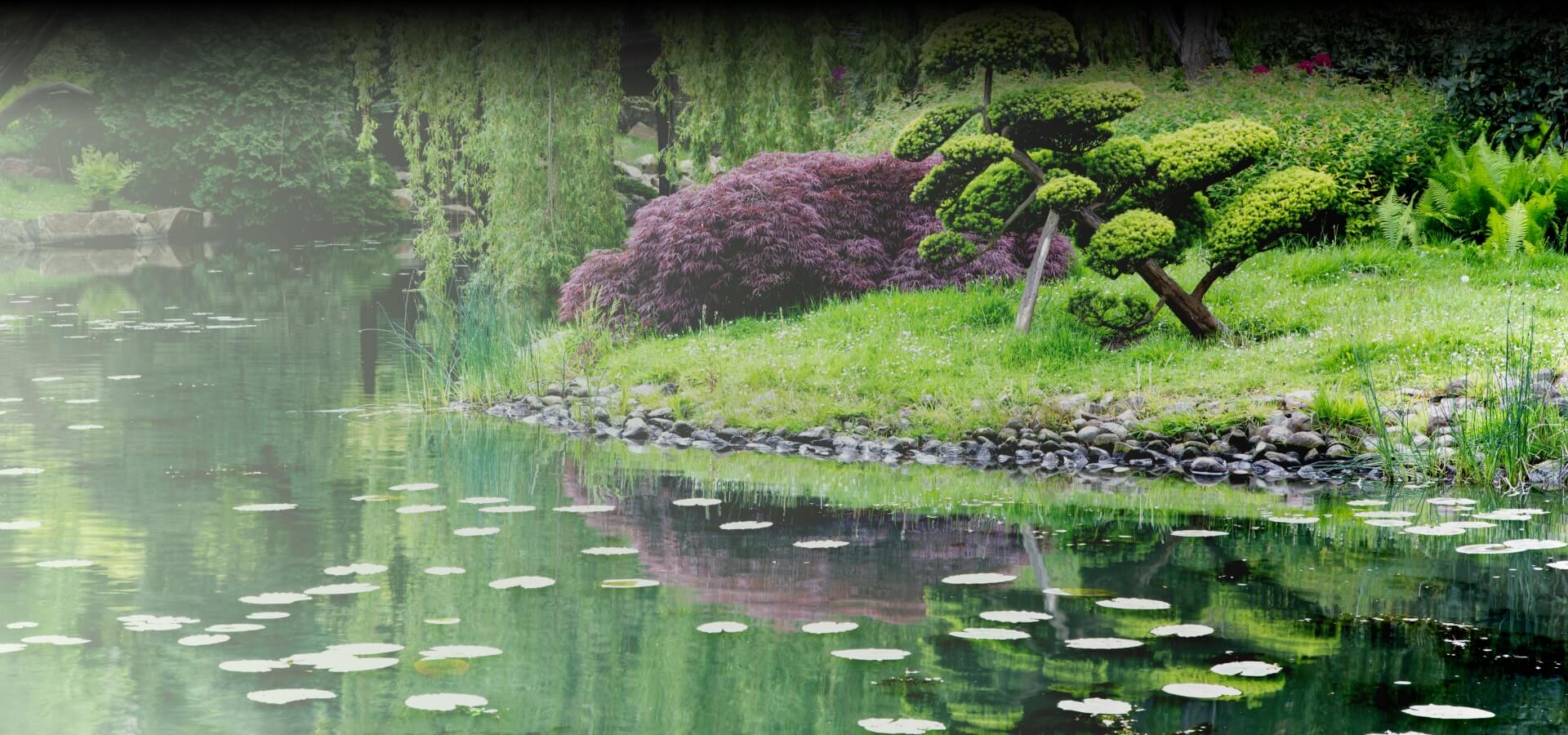 BRADOL PAYSAGE